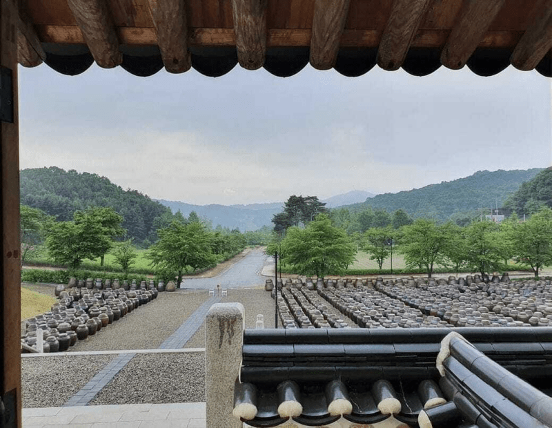 Seoul one-day tour 【Yangju Nari Park - Appreciation of autumn limited ...